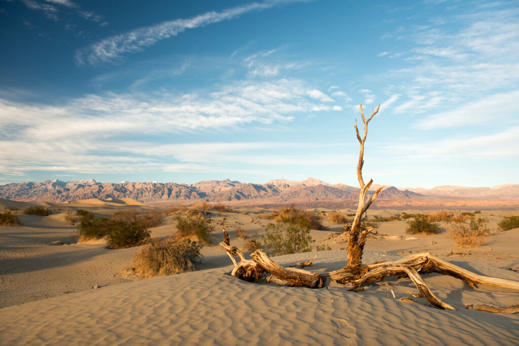 20 Unbelievable Facts About the World’s Most Extreme Weather Events