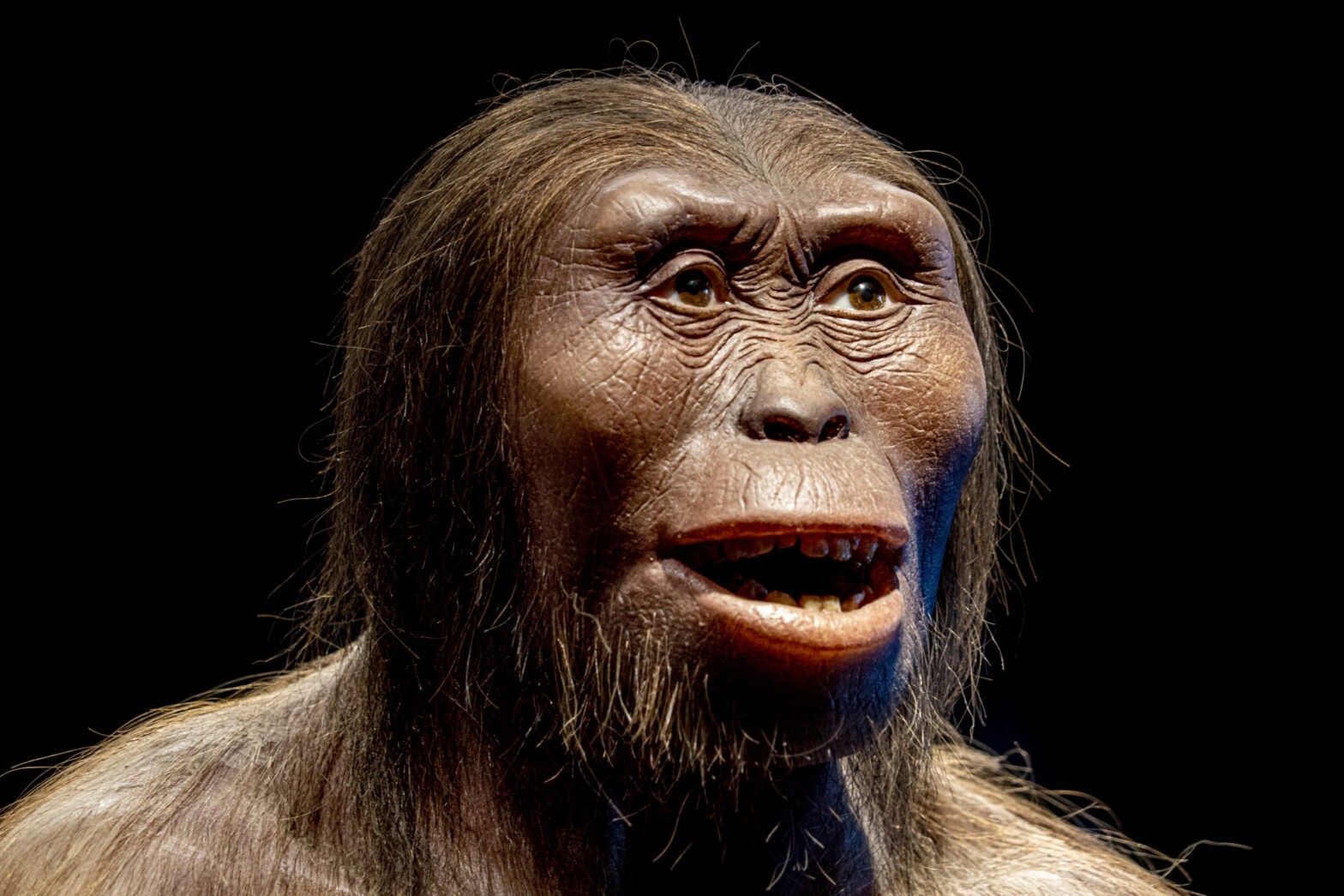 These 18 Weird Scientific Discoveries Changed the Course of History