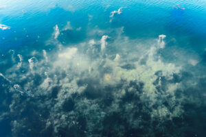 20 Jaw-Dropping Facts About the Deep Ocean