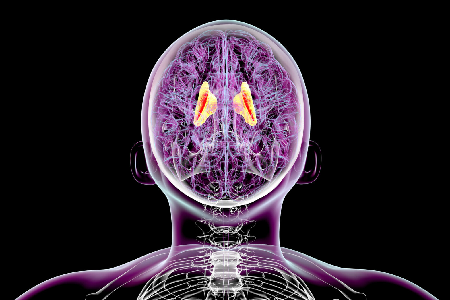 20 Mind Blowing Facts About The Human Brain