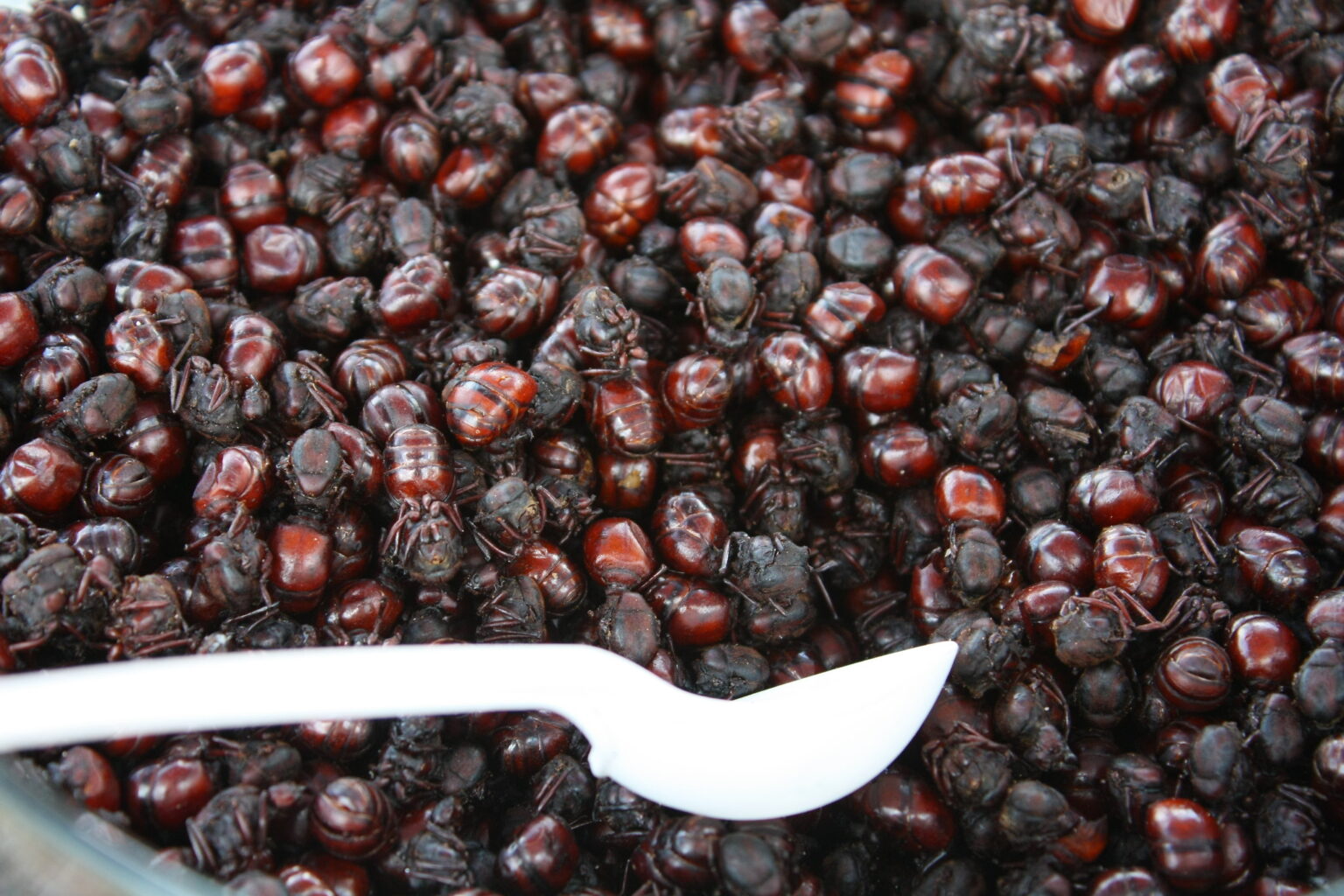 These 21 Unusual Food Ingredients Are Surprisingly Common in Other Cultures