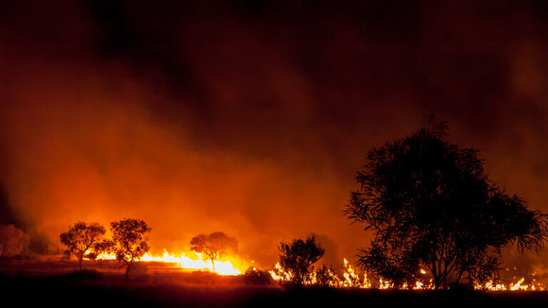 20 Rare Weather Events That Completely Transformed Landscapes
