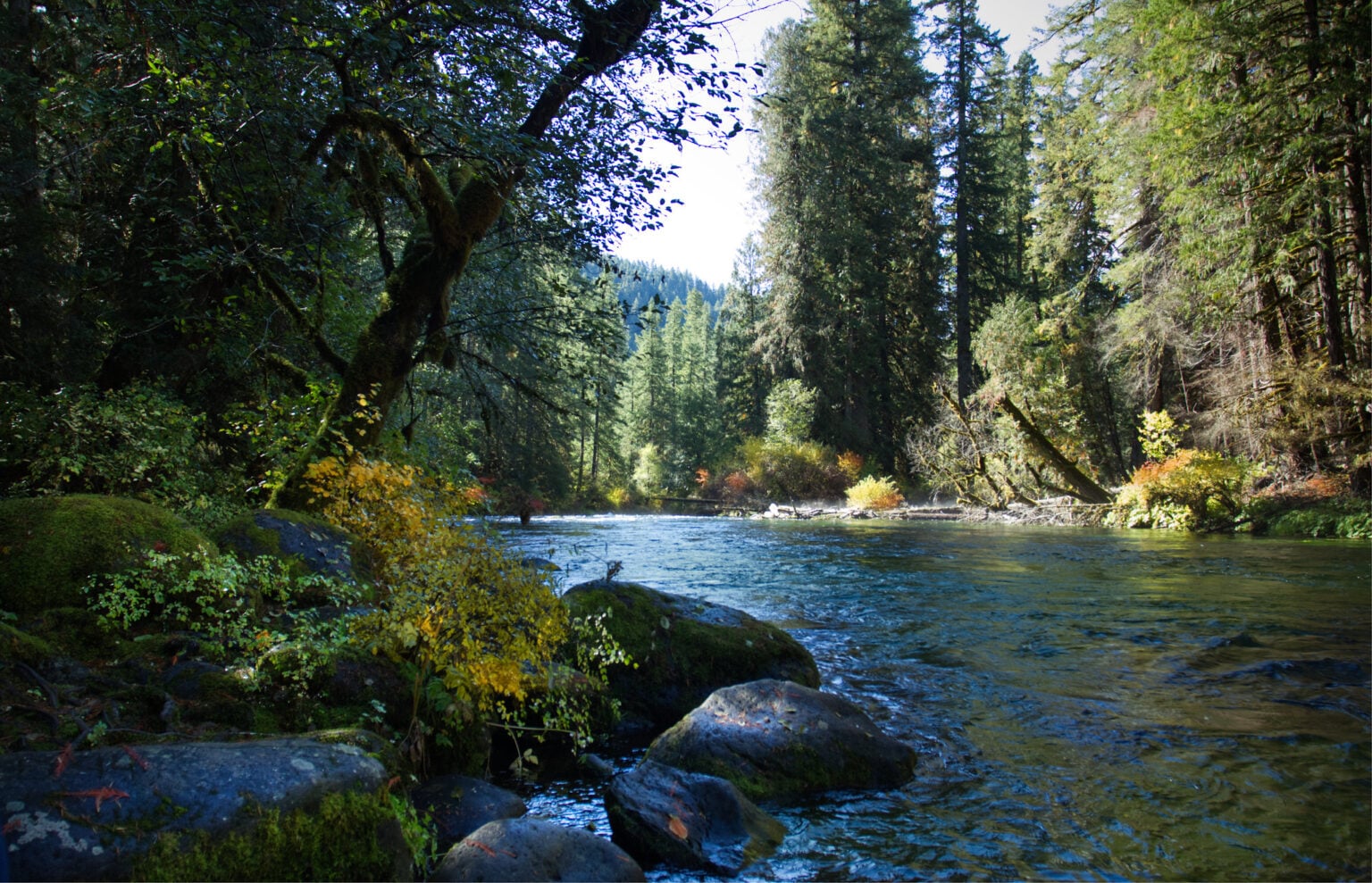 20 Stunningly Clear Rivers You Won’t Believe Are Real