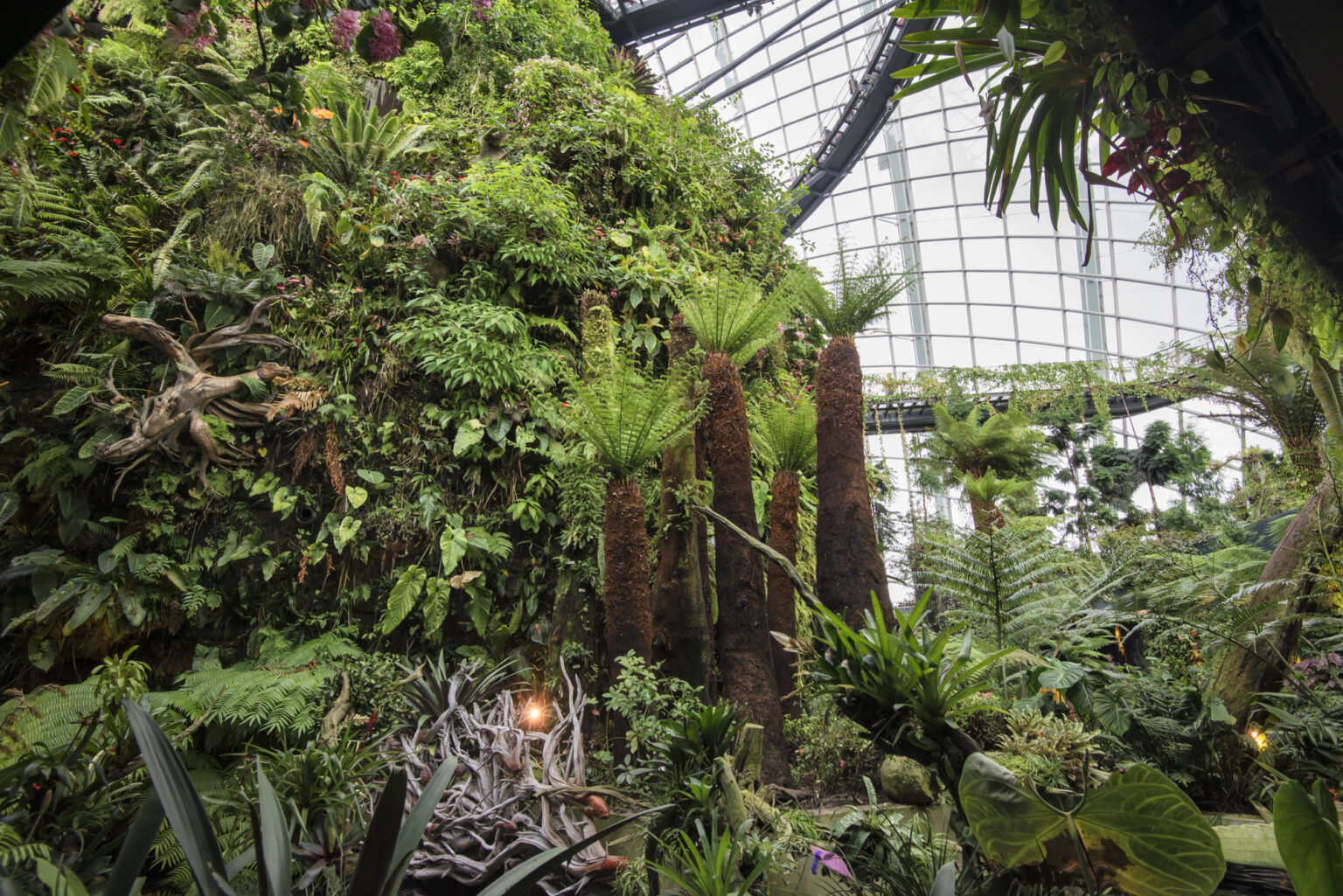 20 Architectural Designs Inspired by Nature