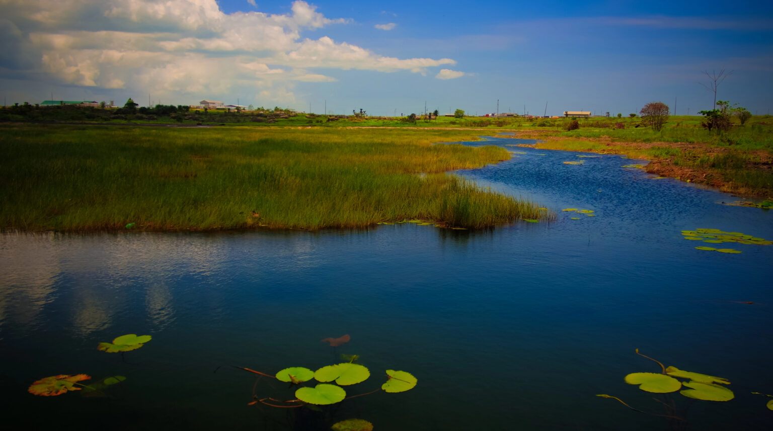 20 of the Most Unusual Lakes on the Planet (and What Makes Them Weird)