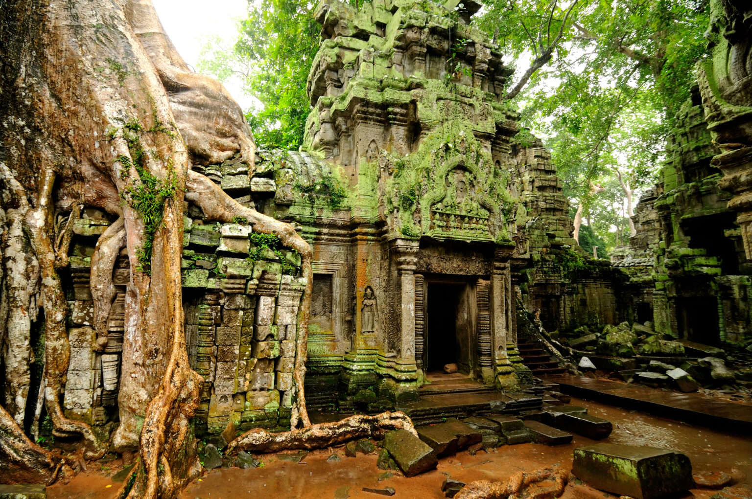 20 Places Where Nature Has Reclaimed Man-Made Structures