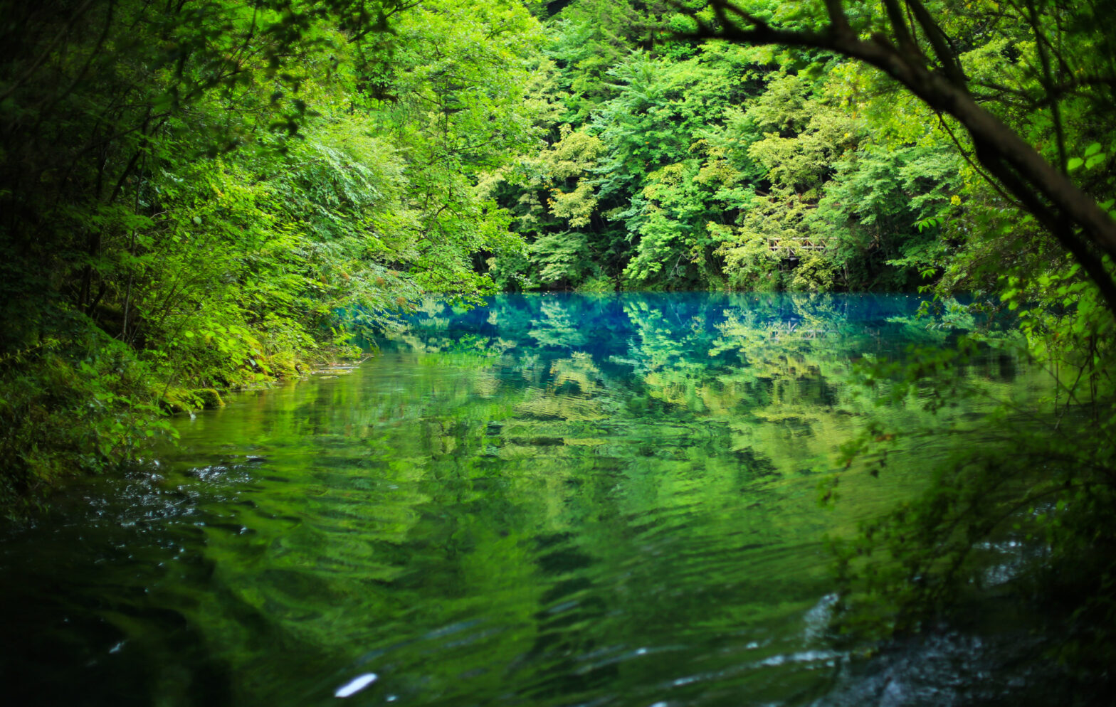 20 Stunningly Clear Rivers You Won’t Believe Are Real