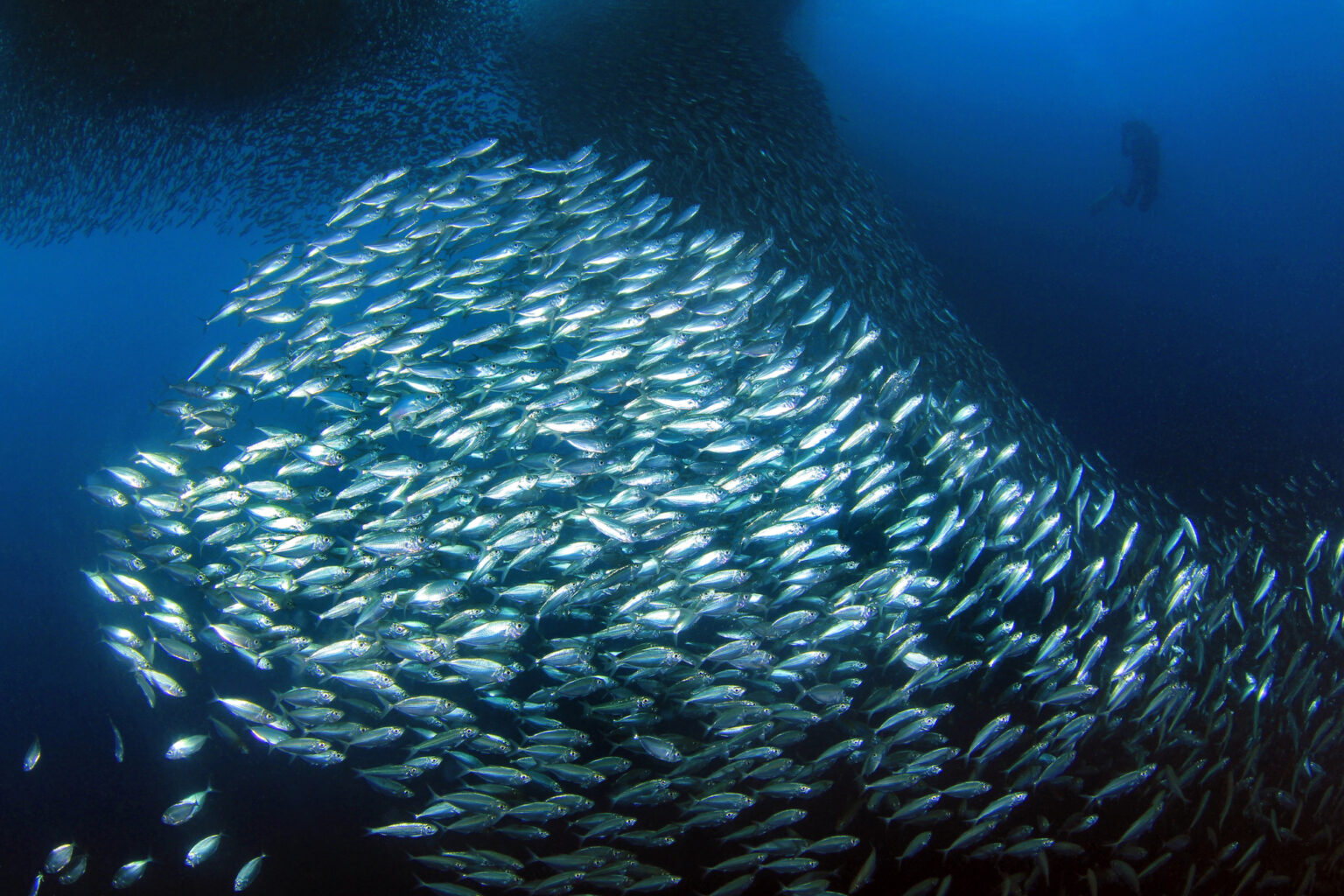 20 Rare Natural Events That Happen Only Once in a Lifetime