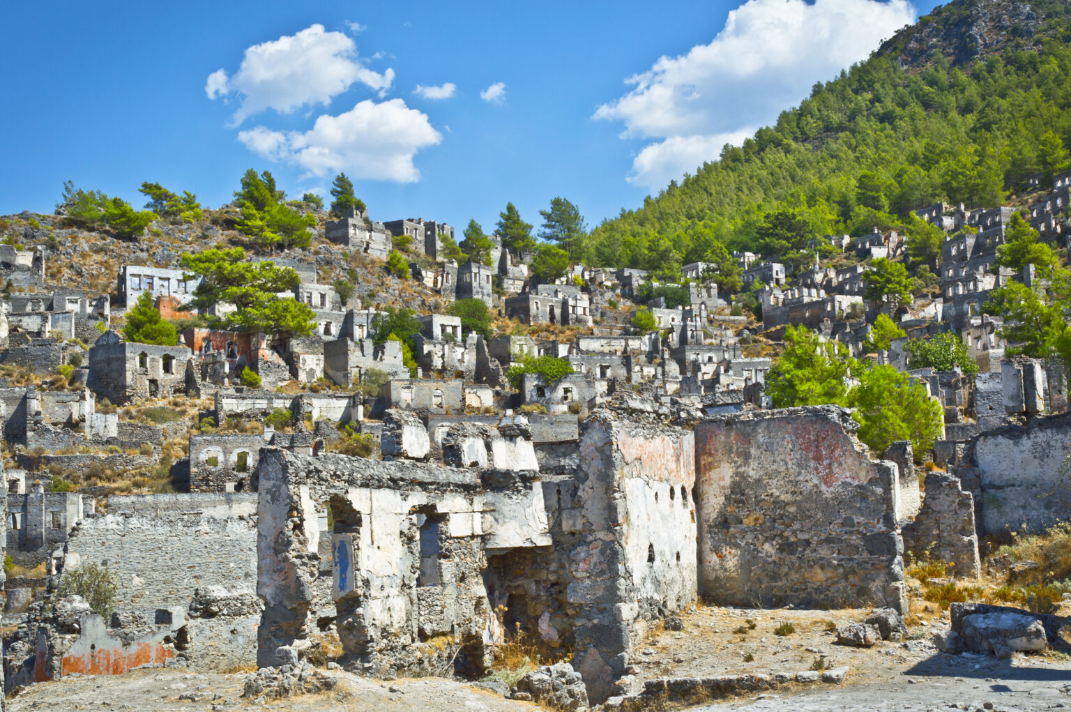 20 Places Where Nature Has Reclaimed Man-Made Structures