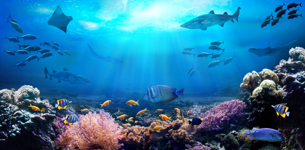 Angling’s Ultimate Challenge: 18 Rare Fish That Are Hard to Catch