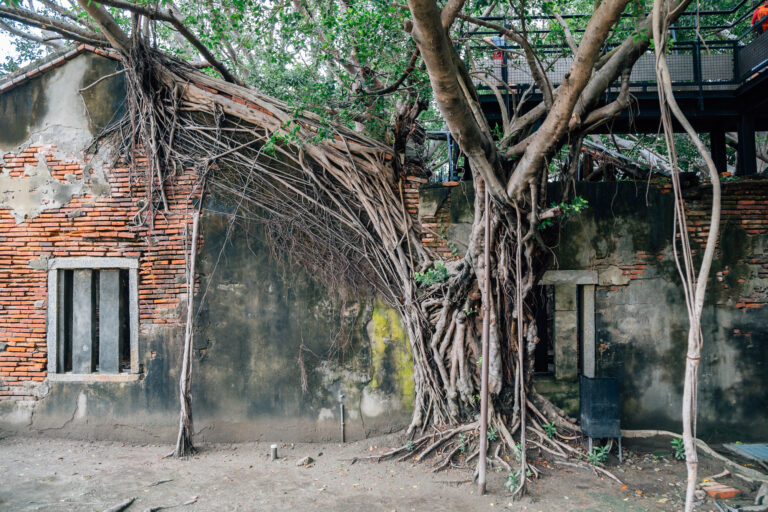 20 Places Where Nature Has Reclaimed Man-Made Structures
