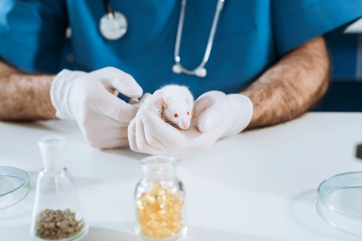 20 Ways Animals Have Been Used in Unbelievable Scientific Experiments