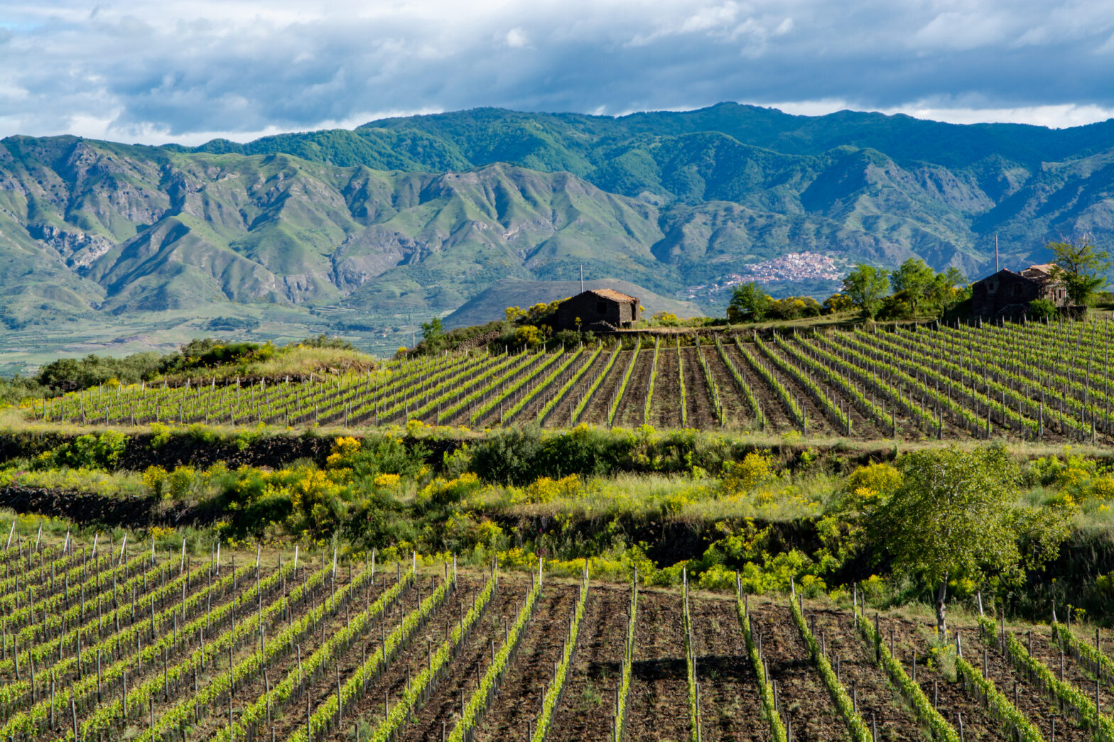 20 Surprising Ways Geography Has Influenced Food Around the World
