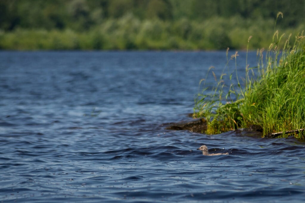 20 of the Most Unusual Lakes on the Planet (and What Makes Them Weird)
