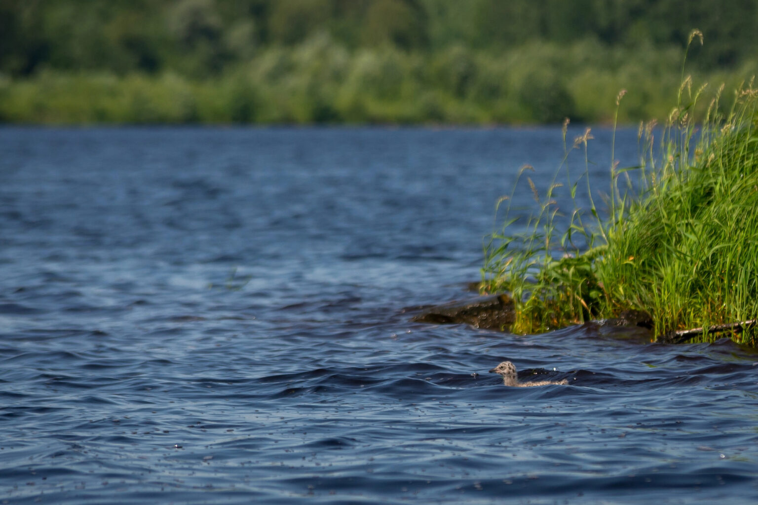 20 of the Most Unusual Lakes on the Planet (and What Makes Them Weird)