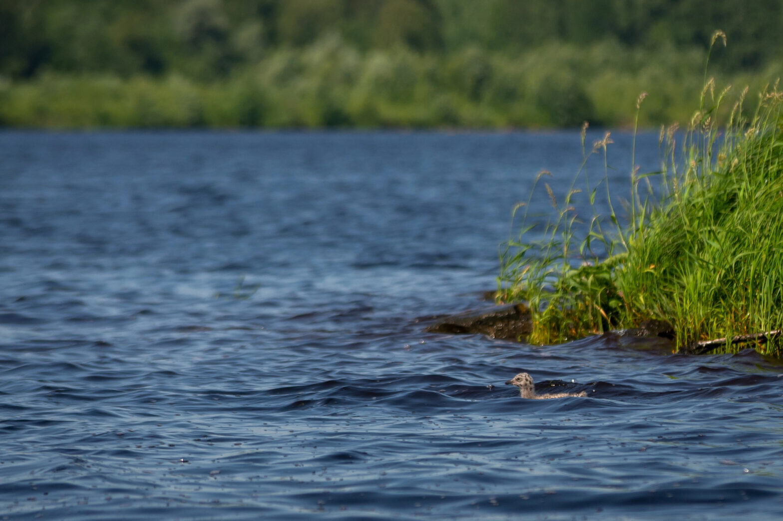 20 of the Most Unusual Lakes on the Planet (and What Makes Them Weird)