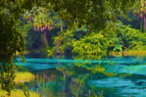 20 Stunningly Clear Rivers You Won’t Believe Are Real