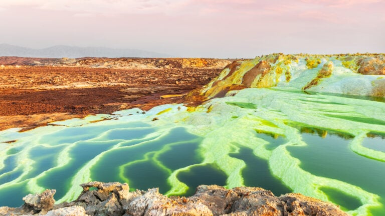 20 Unique Natural Ecosystems You've Never Heard Of