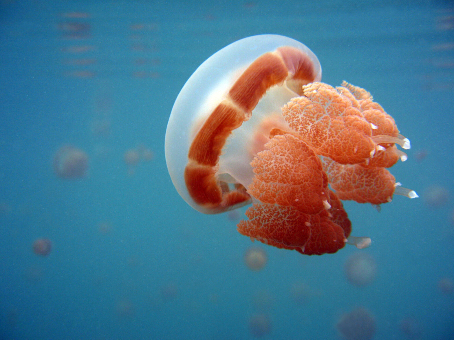 20 of the Most Unusual Lakes on the Planet (and What Makes Them Weird)