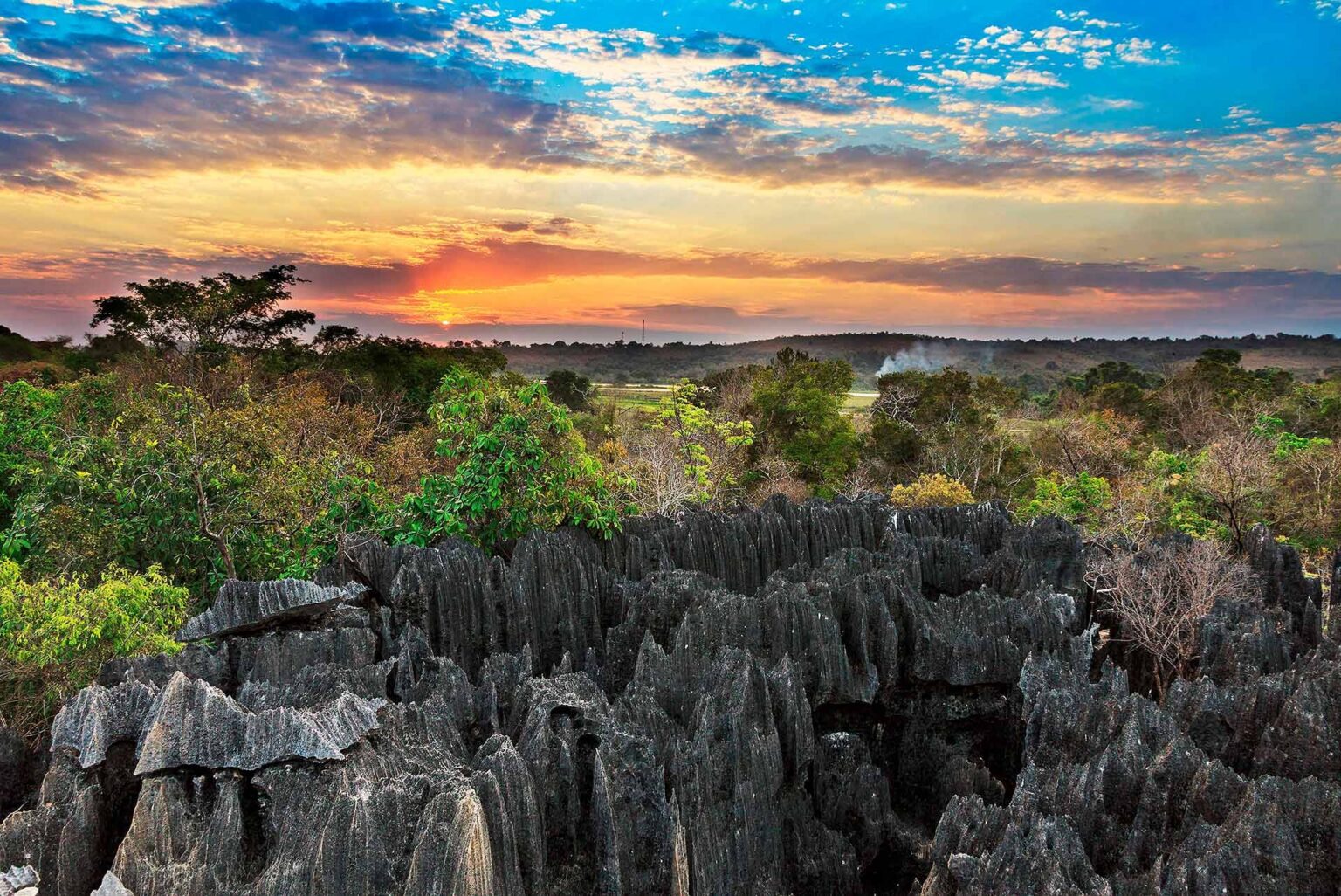 20 Unique Natural Ecosystems You've Never Heard Of