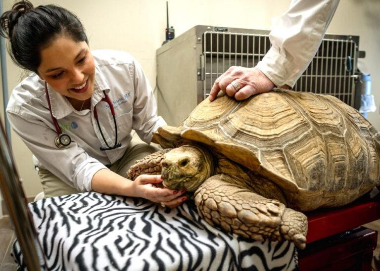 20 Medical Practices from History That Are Absolutely Bizarre