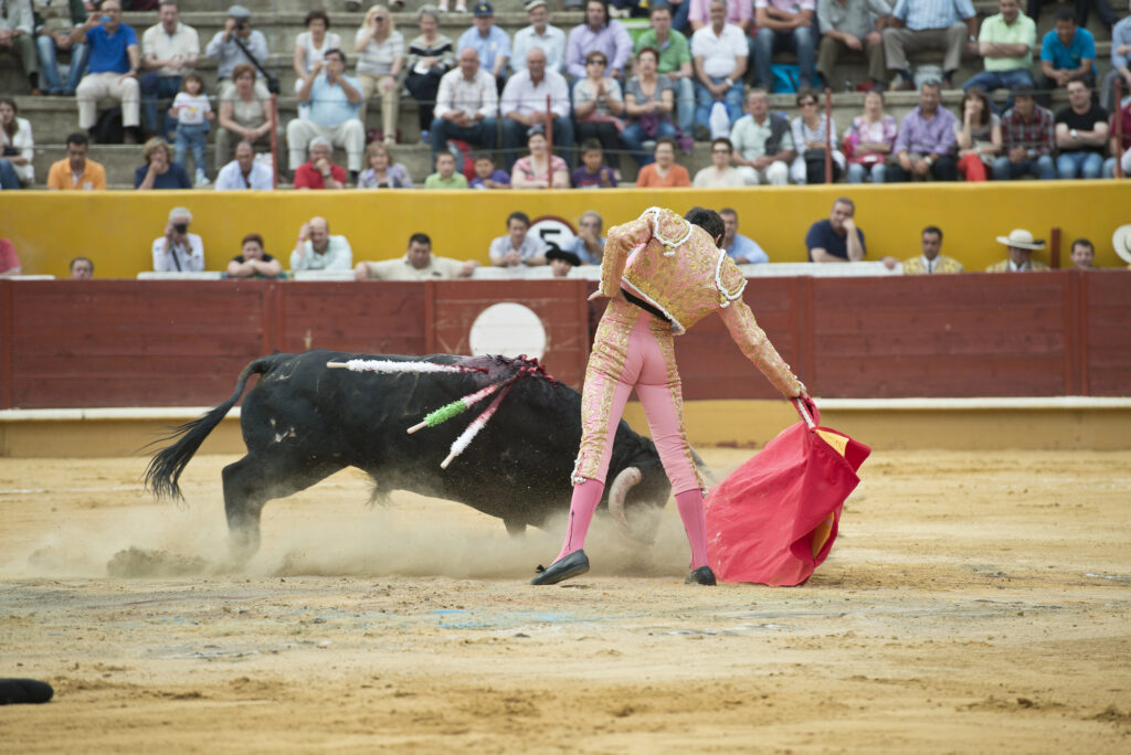 14 Times Animals Were Used in Competitive Sports