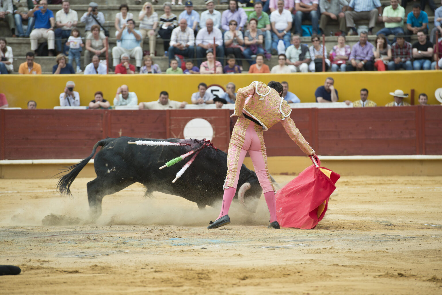 14 Times Animals Were Used in Competitive Sports