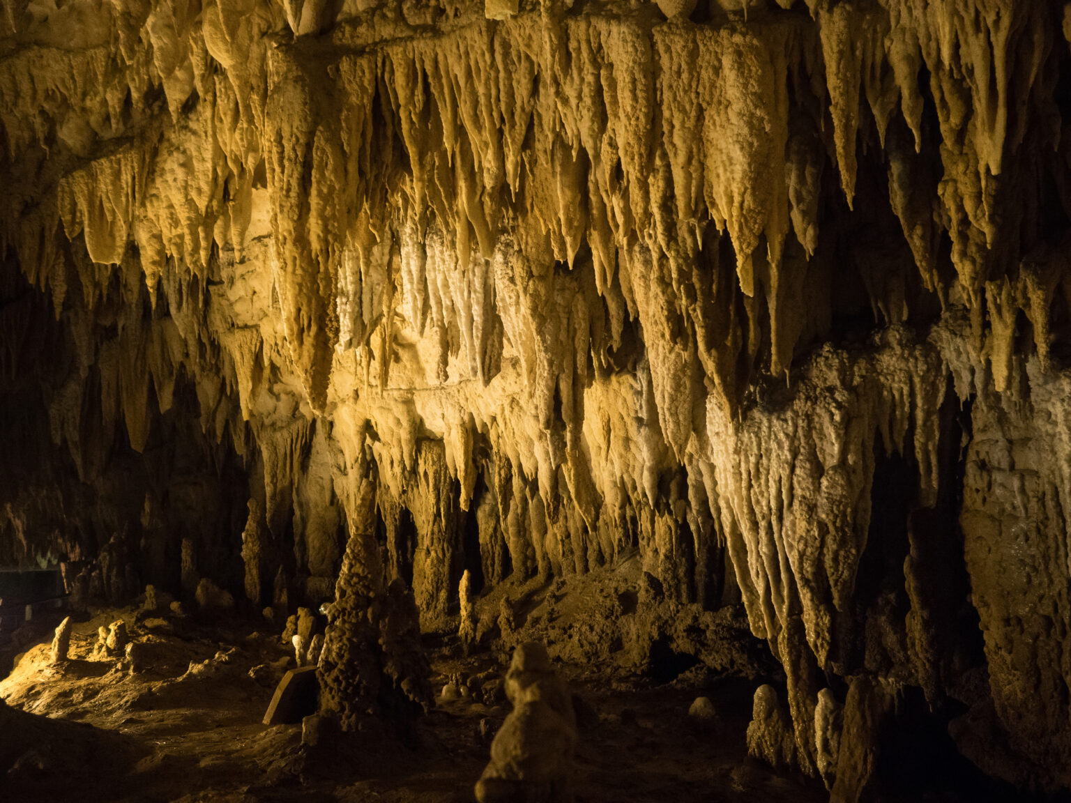 20 Baffling Natural Sounds That Science Has Yet to Fully Explain