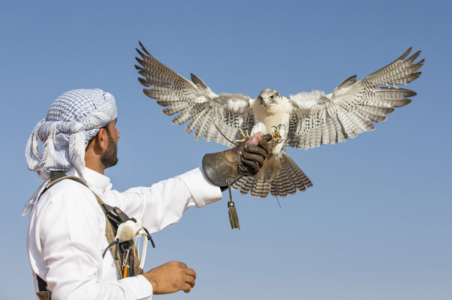 14 Times Animals Were Used in Competitive Sports