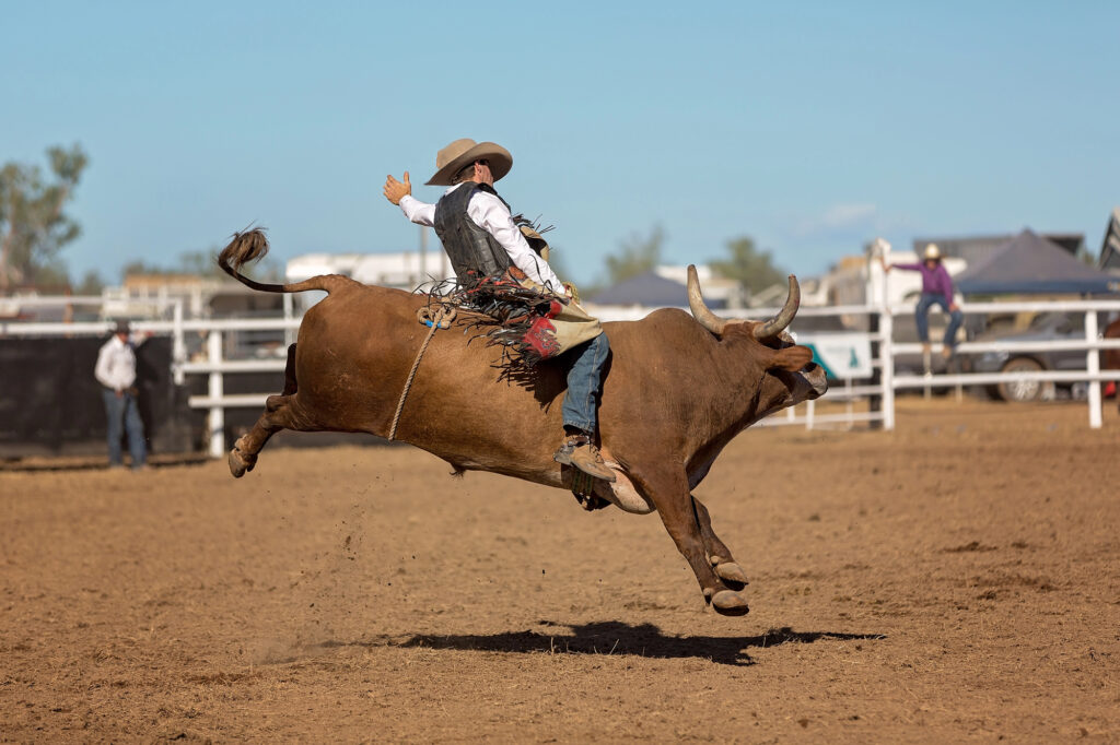 14 Times Animals Were Used in Competitive Sports