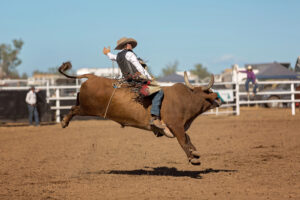 14 Times Animals Were Used in Competitive Sports
