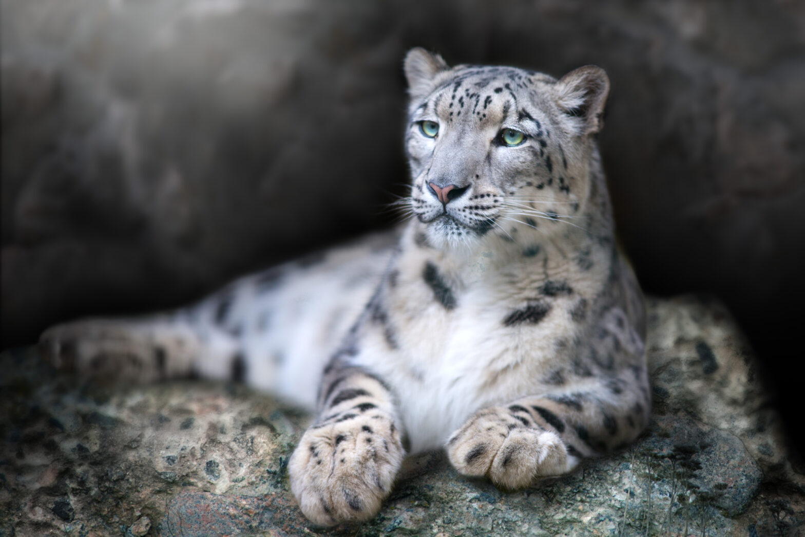 20 Creatures That Can Survive in Extreme Conditions