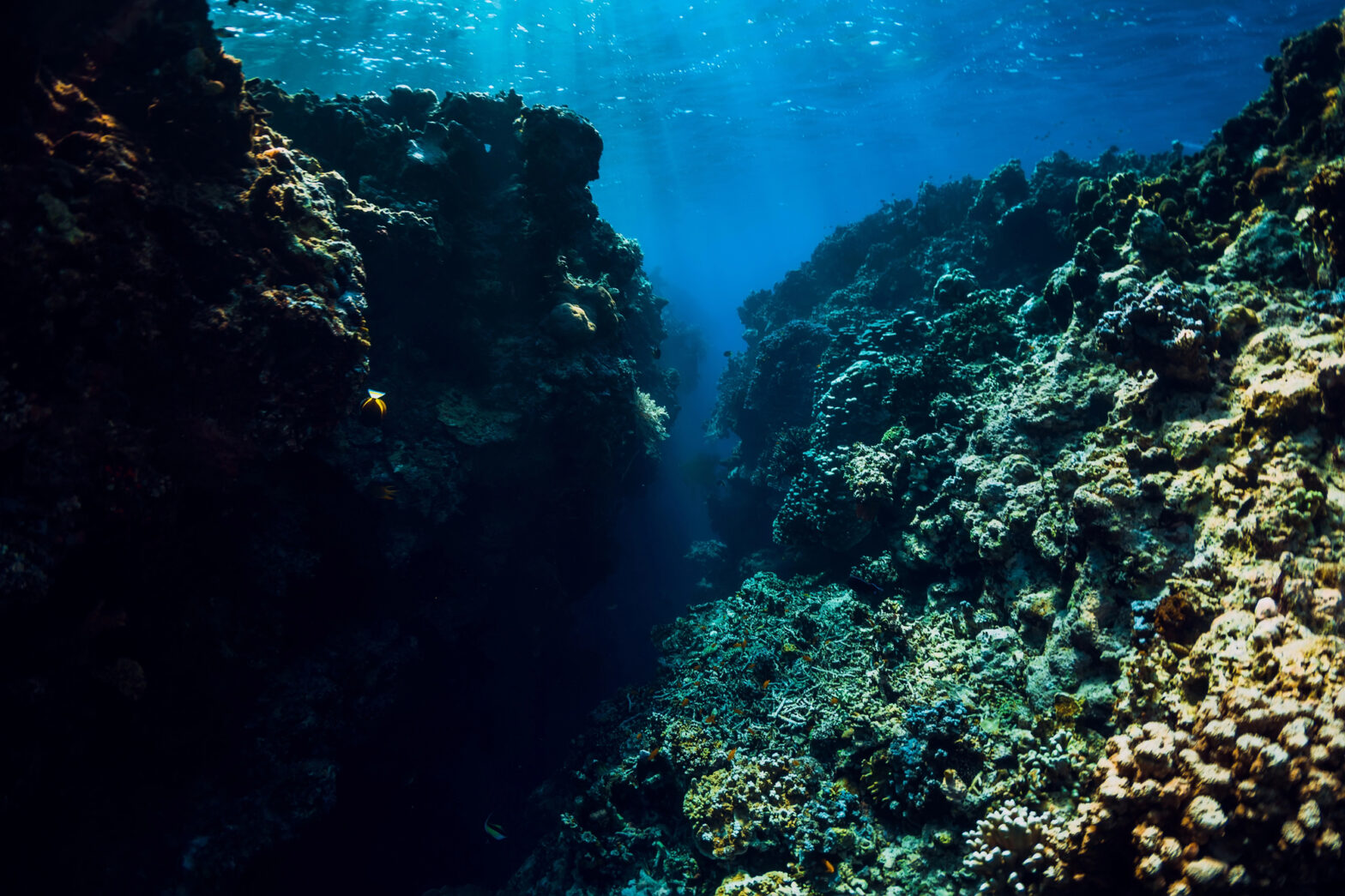 20 Baffling Natural Sounds That Science Has Yet to Fully Explain