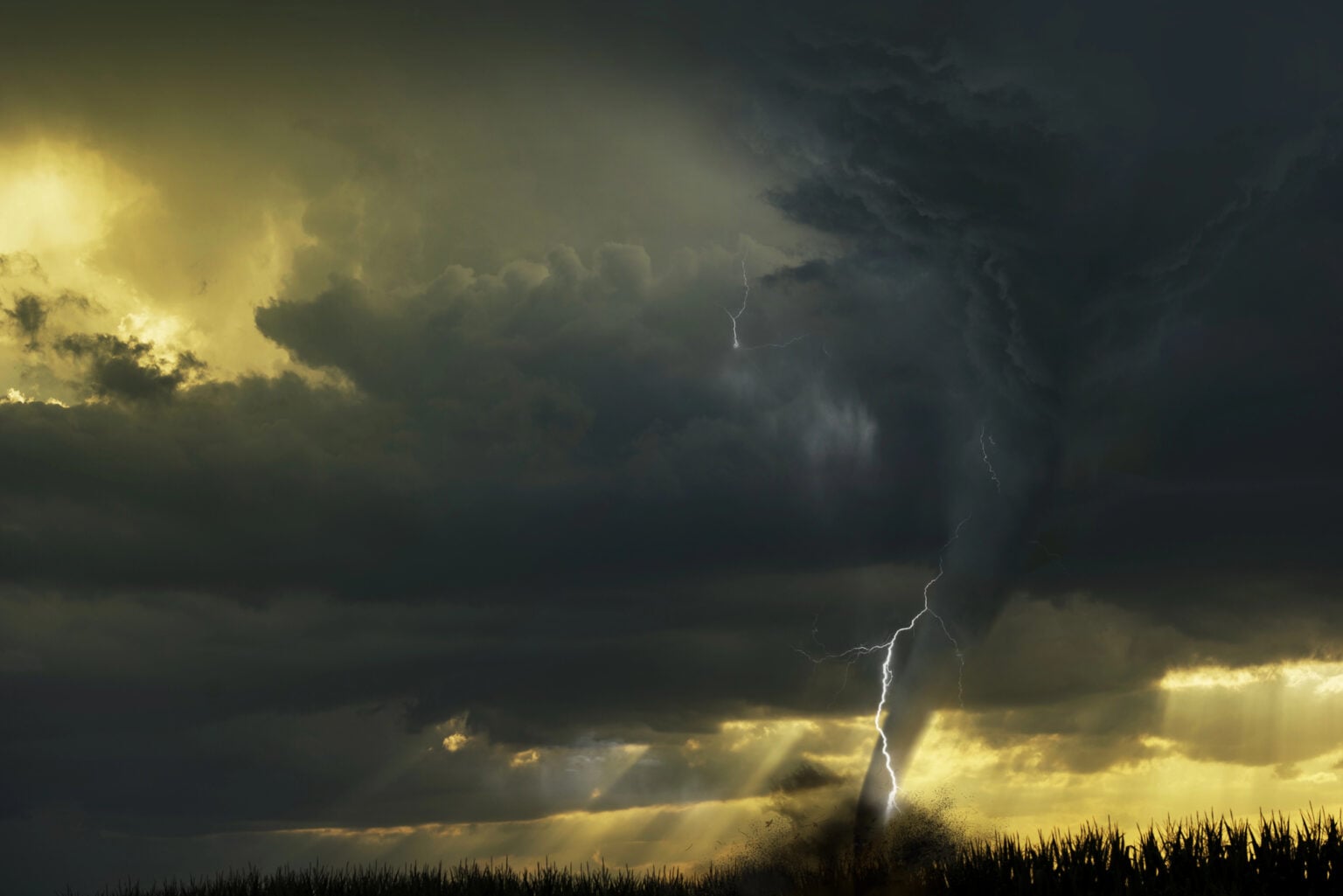20 Baffling Natural Sounds That Science Has Yet to Fully Explain