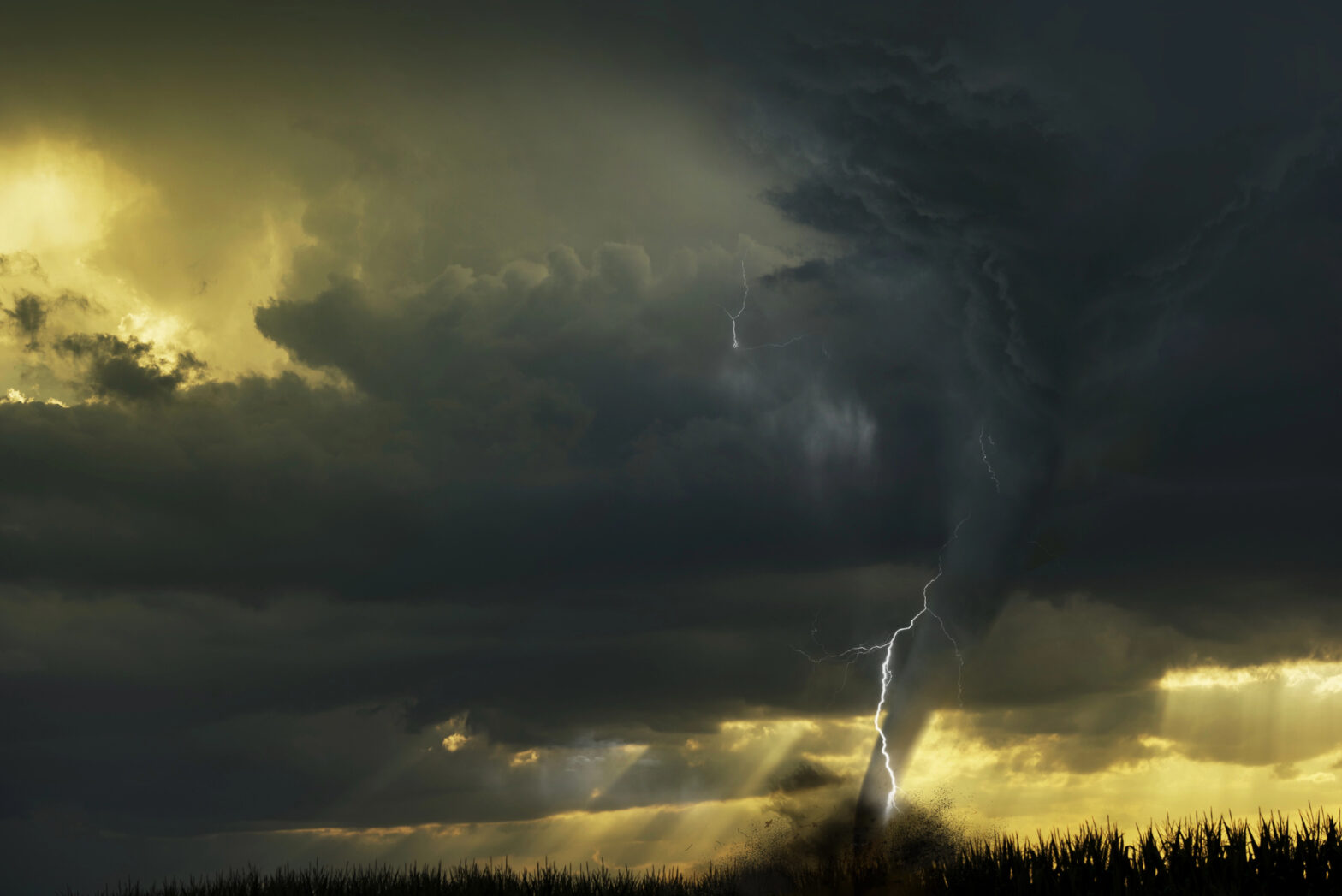 20 Baffling Natural Sounds That Science Has Yet to Fully Explain