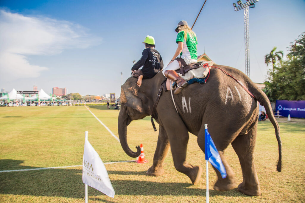 14 Times Animals Were Used in Competitive Sports