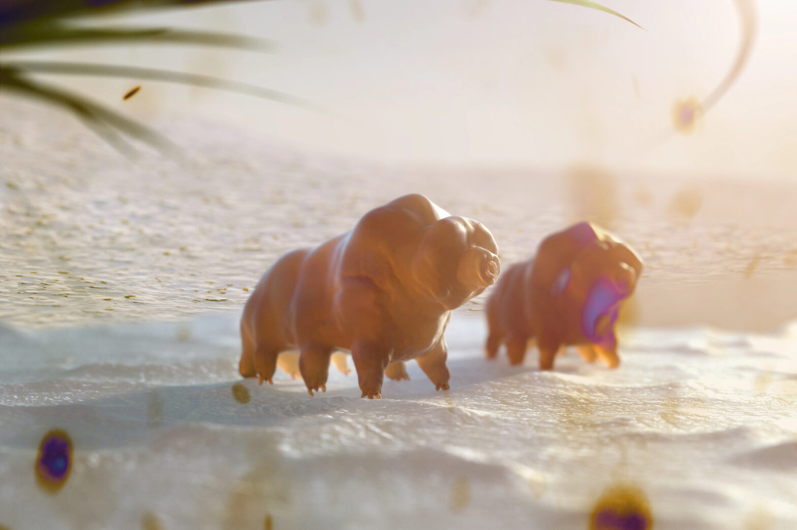 20 Animals That Can Survive Nature's Harshest Conditions