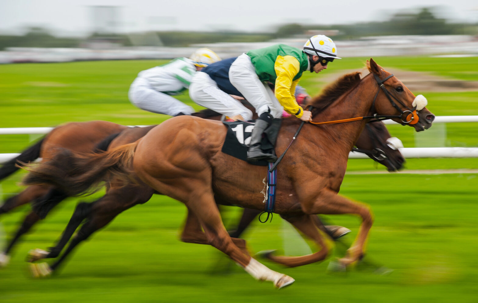 14 Times Animals Were Used in Competitive Sports