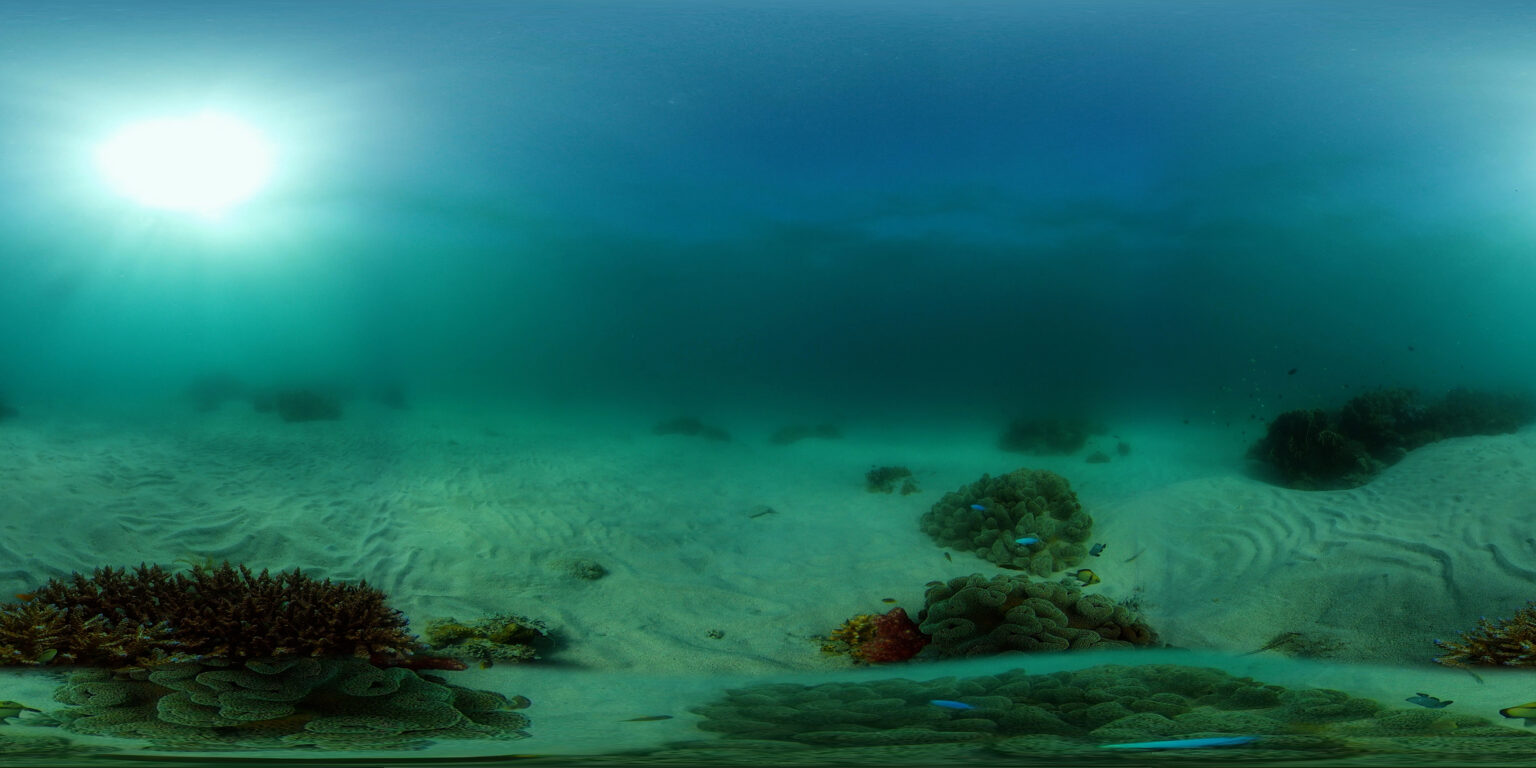 20 Deep-Sea Discoveries That Raise Unsettling Questions