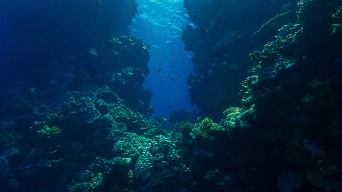 20 Baffling Natural Sounds That Science Has Yet to Fully Explain