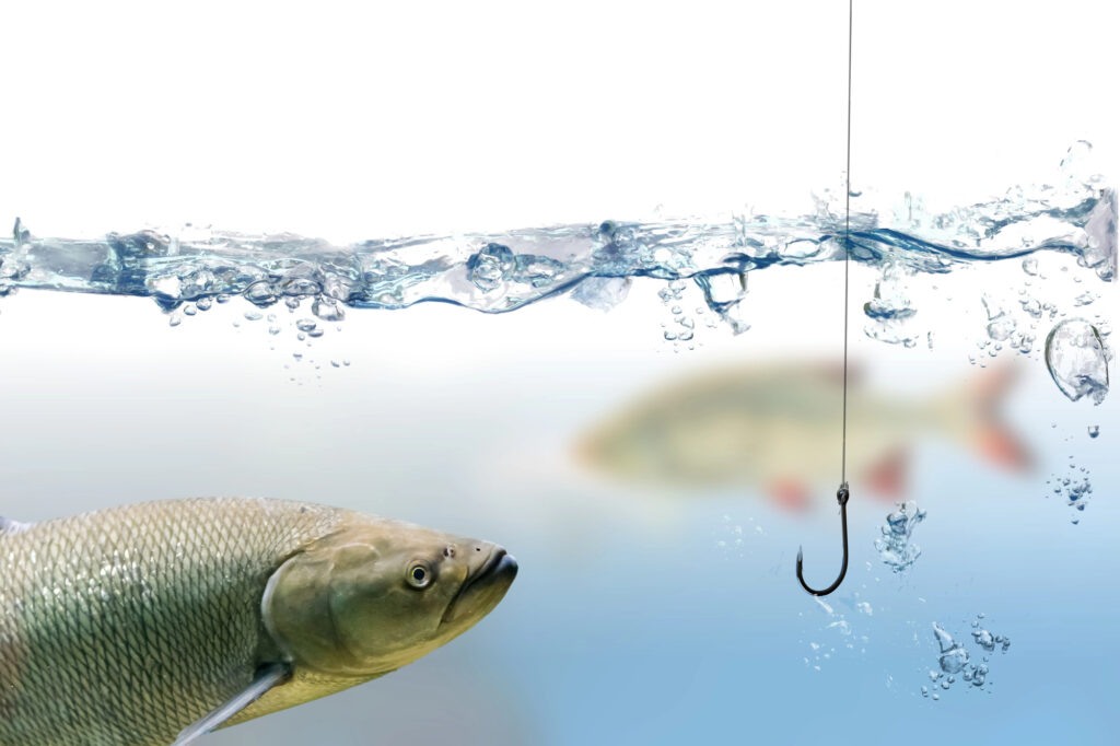 16 Fishing Techniques Every Angler Should Know