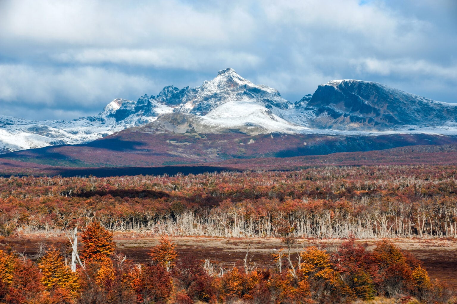 20 Places on Earth That Are Bigger Than Entire Countries