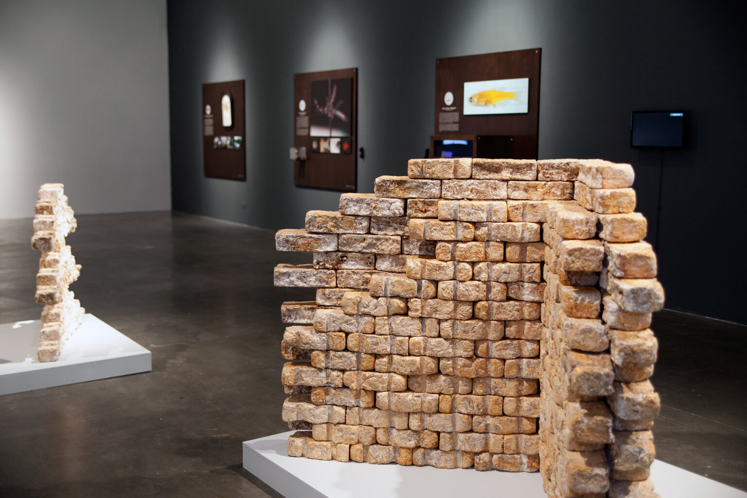 15 Strange Materials Humans Have Used to Build Real Buildings