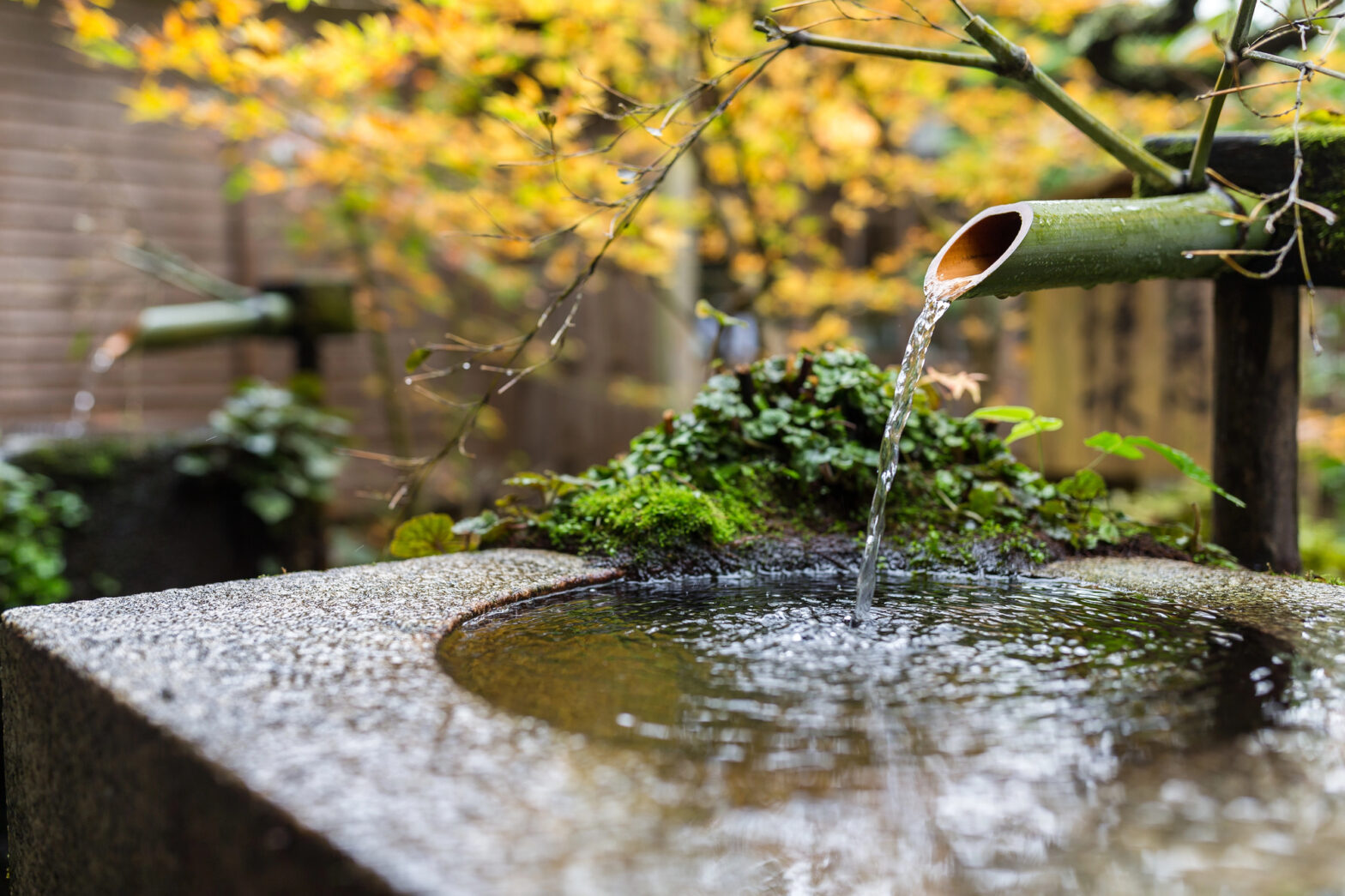 14 Surprising Uses for Water in Ancient Civilizations