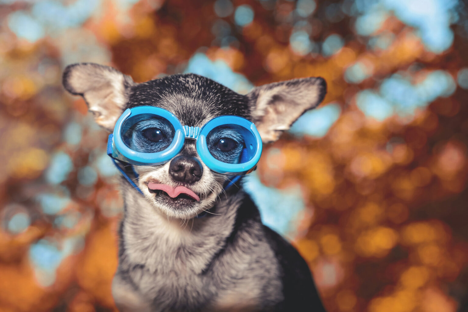 20 Business Ventures That Started as a Joke but Made Millions