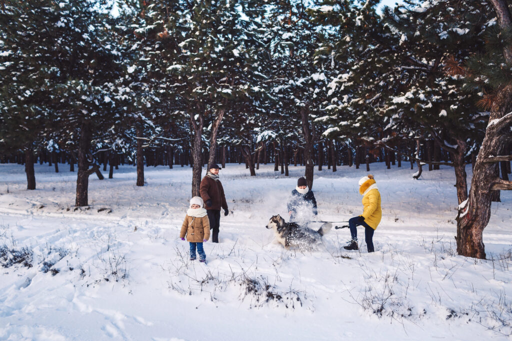 17 Rare Facts About the Day the U.S. Bought Alaska