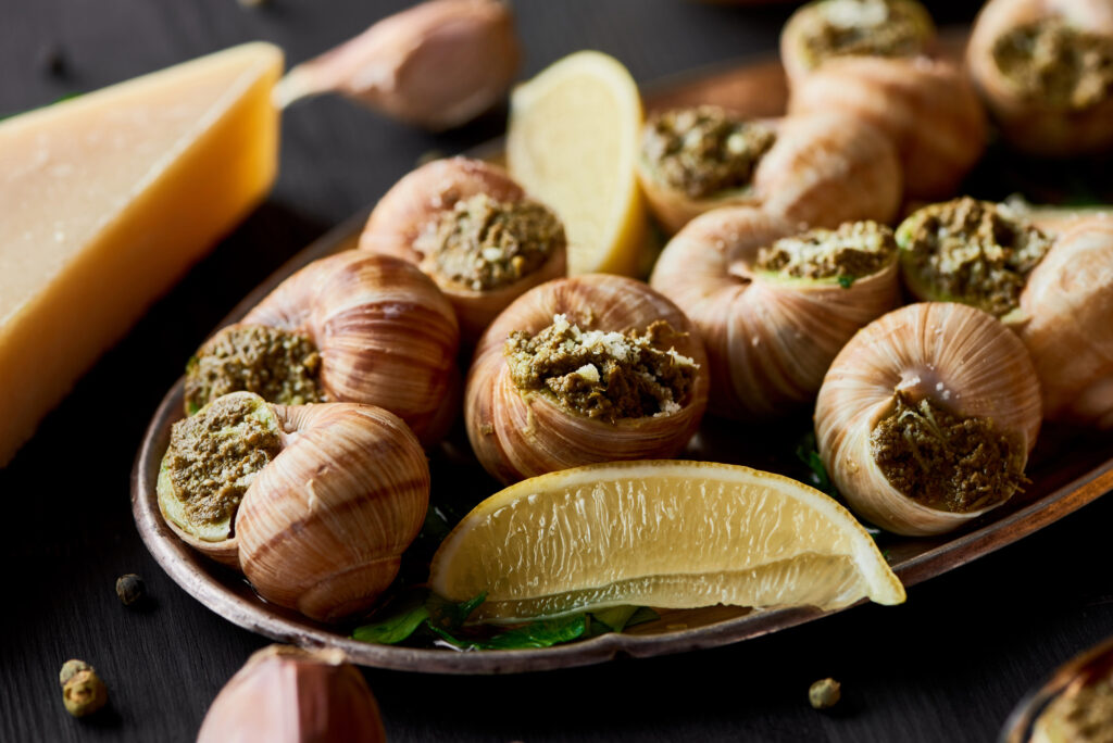17 Things You Didn't Know About Snails (Including Their 3-Year Naps)