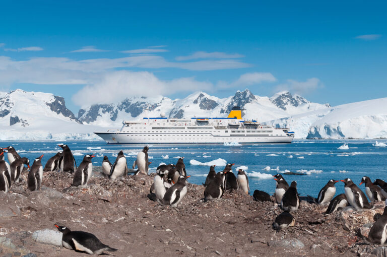 World Penguin Day: 15 Wild Adaptations That Help Penguins Thrive Almost ...