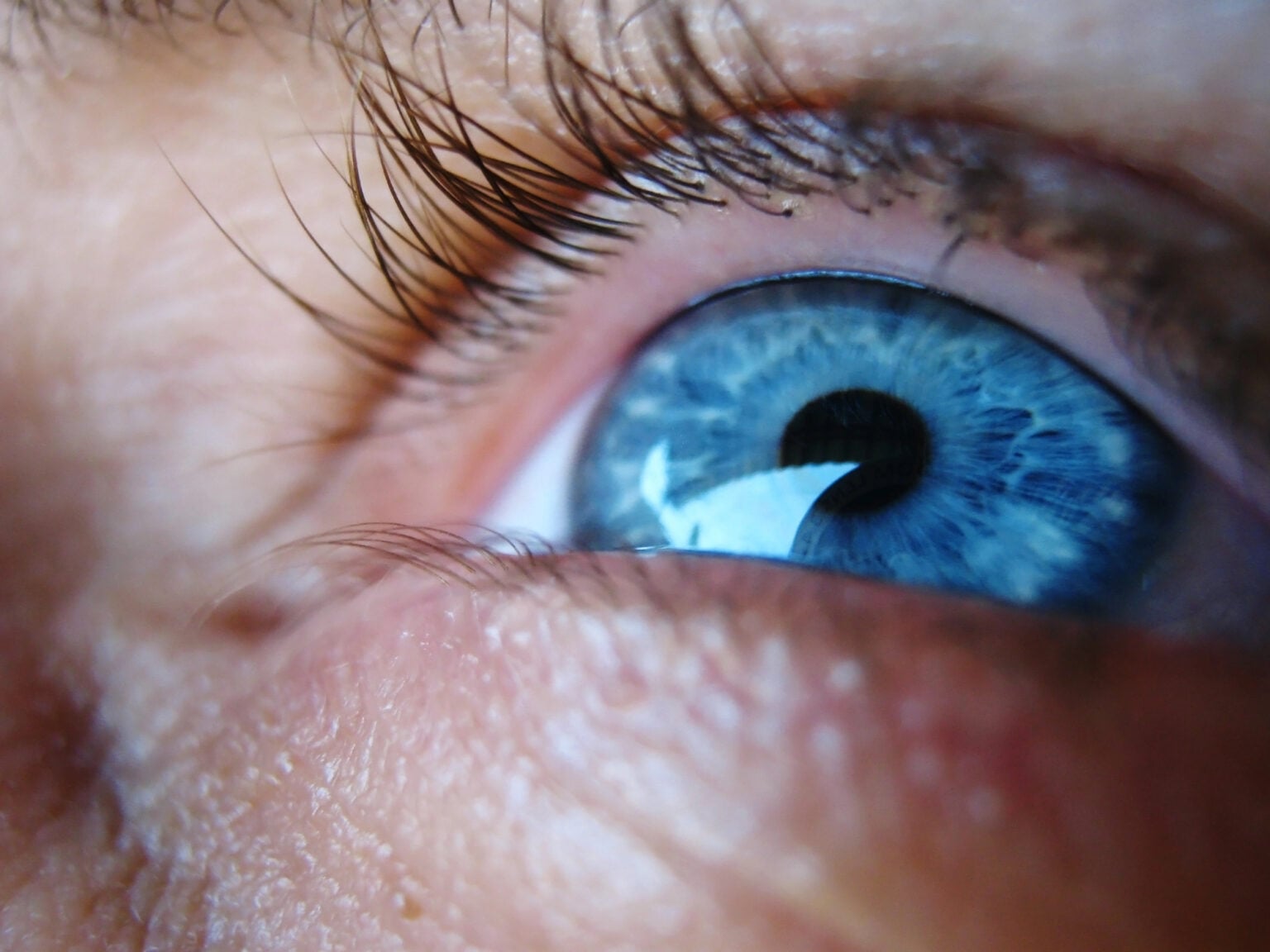 15 Physical Features That Are as Unique as Fingerprints