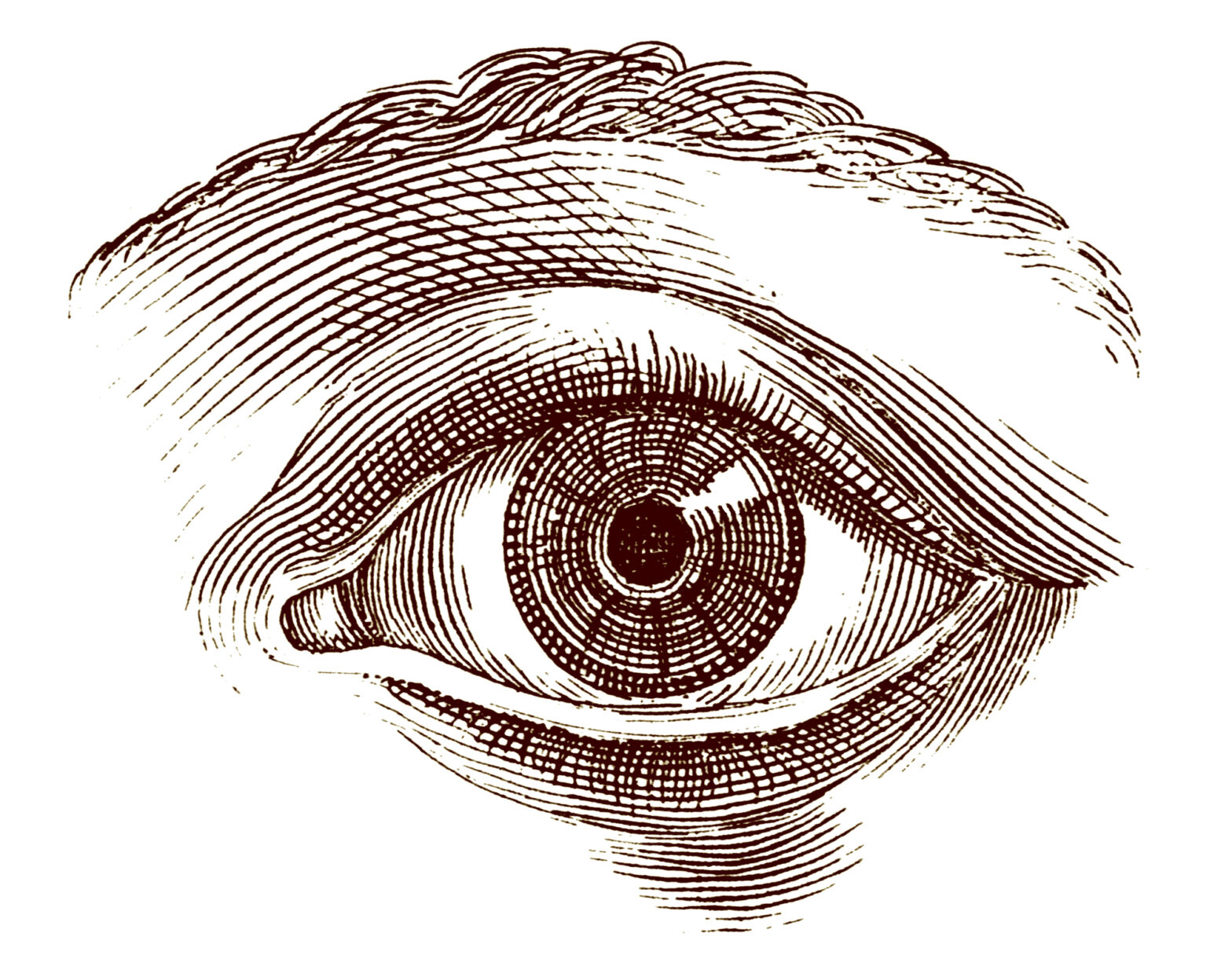 15 Symbols That Have Completely Changed Meaning Over Time